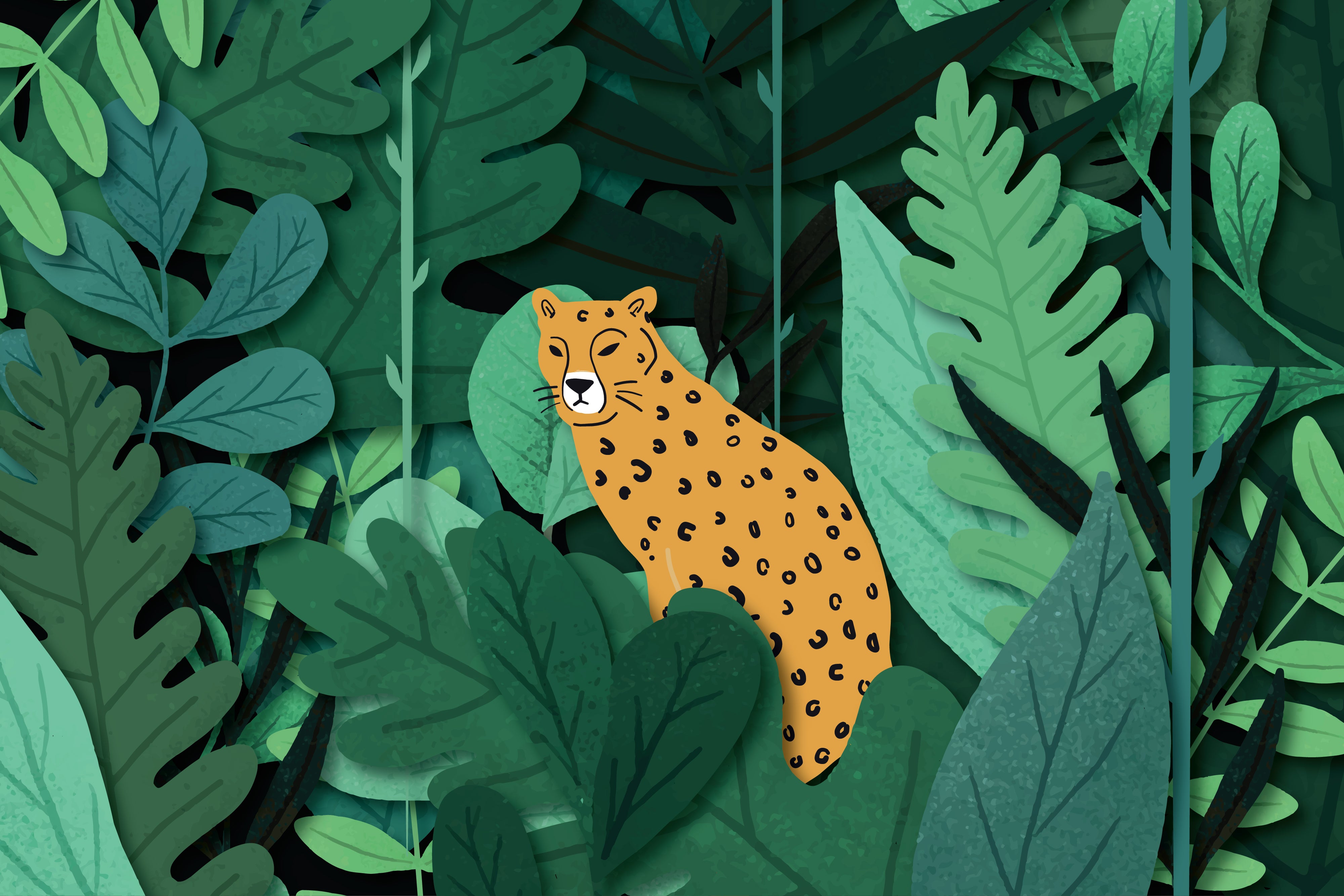 Home page – Jungle Relics